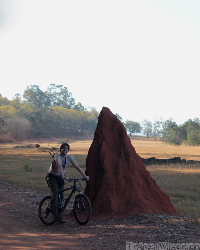 Giant-Termite-Heap-Mlilwane – Travel Wiser