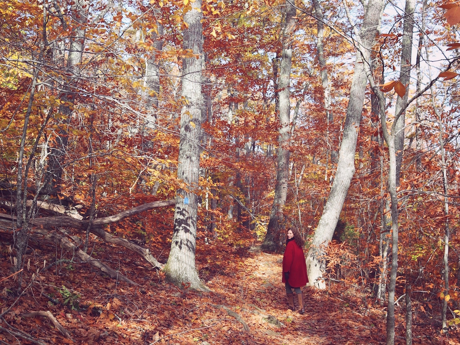 Maine in the fall – 5 day road trip itinerary – Travel Wiser